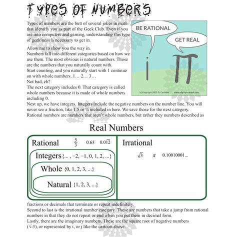 Number Types Insanitek