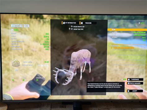 Offcourse R TheHunter