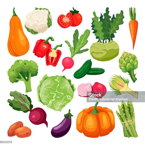 농장신선한 야채 세트 벡터 플랫 만화 일러스트레이션입니다 고립 된 브로콜리 호박 아스파라거스 아티 초크 콜라비 채소에 대한 스톡 벡터 아트 및 기타 이미지 Istock