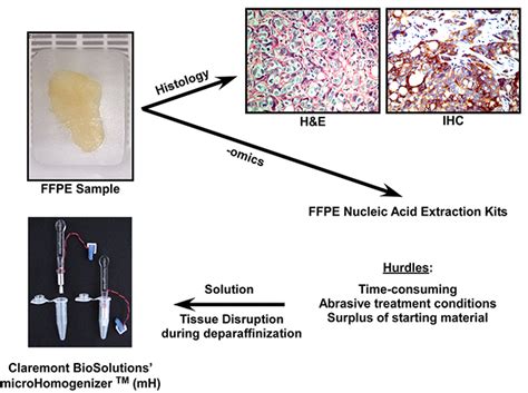 A Novel Method For Rna Extraction From Ffpe Samples Reveals Significant Differences In Biomarker