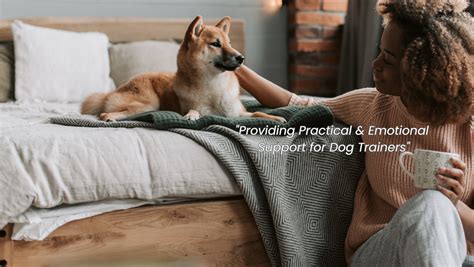 Canine Massage Therapy Canine Massage Therapy Centre