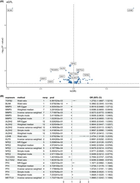Integrated Analysis Of Single Cell‐rna Sequencing And Mendelian Randomization Identifies Lactate