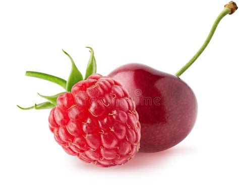 Isolated Berries Raspberry And Cherry Fruits With Leaves Isolated On White Background Stock