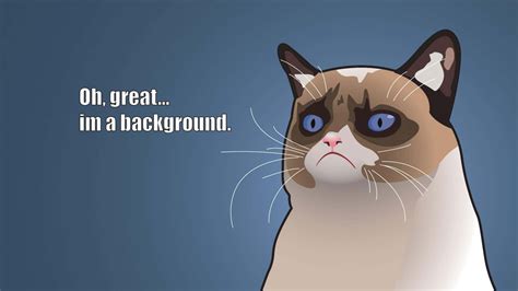 100 Grumpy Cat Wallpapers