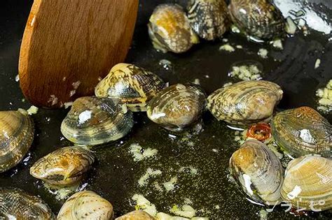 魚介の旨味たっぷりアサリとキャベツのパスタの作り方｜健康レシピと献立のソラレピ