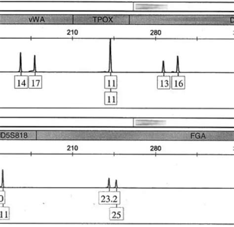 ssr 和 issr 标记有什么区别 哔哩哔哩