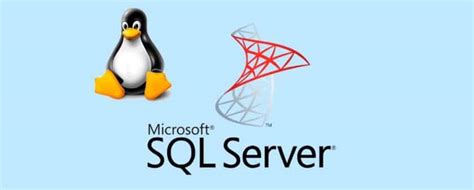 Microsoft Lanzo Una RC De SQL Server 2022 Para Linux Linux OS Net