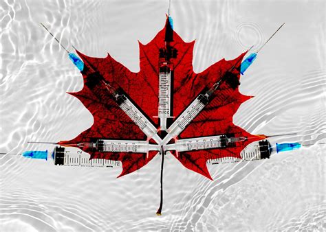 What Canadas Euthanasia Advocates Ask Us To Believe