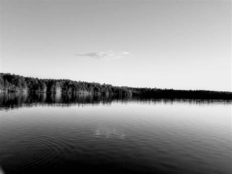 Black River Pee Dee River Royalty Free Images Stock Photos Pictures Shutterstock