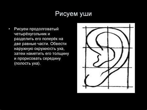 Конструкция головы человека и ее пропорции Форма головы презентация онлайн
