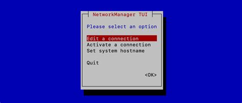 Configuring Ip Networking With Nmtui On Linux Raspberrytips