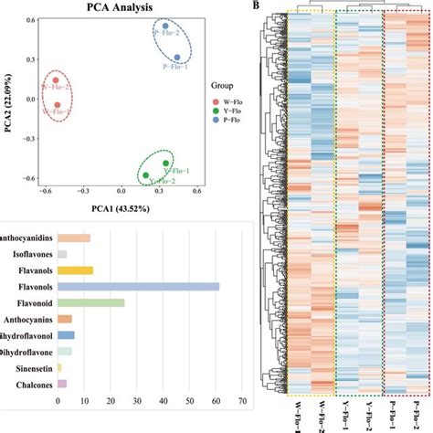 Preliminary Analysis Of Metabolomics Data Comparison Of Metabolite Download Scientific Diagram
