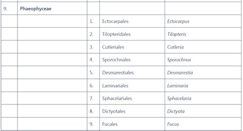Classification Of Algae Bioquestonline