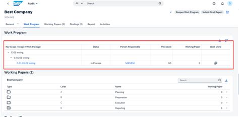 SAP GRC Process Control And Audit Management Integration Sarvesh