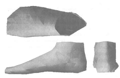Figure From A New Method For Classification And Averaging Of D Human Body Shape Based On The