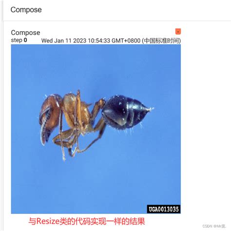 【学习笔记】【pytorch】三、常用的transformstransform模块 Csdn博客