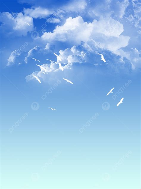 푸른 하늘 새 맑은 하늘 구름 구름 푸른 하늘 배경 배경 화면 및 일러스트 무료 다운로드 Pngtree