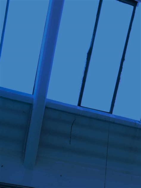 custom mobile app development services neosoft
