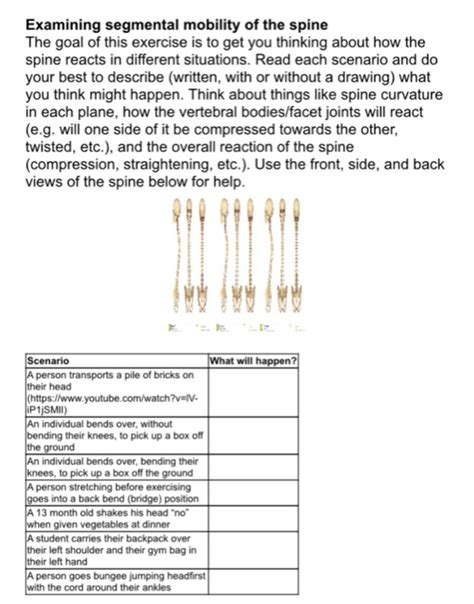 Solved Examining Segmental Mobility Of The Spine The Goal