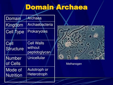 Learning Objectives Know Why Scientists Had To Develop Their Own System For Naming Different