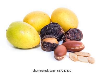 17 218 Nut Processing Images Stock Photos Vectors Shutterstock