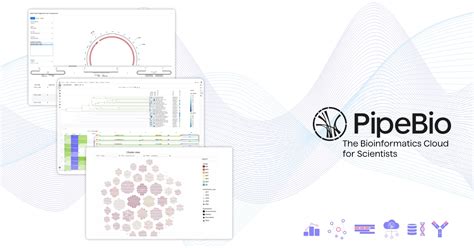 Overview Of The Pipebio Platform