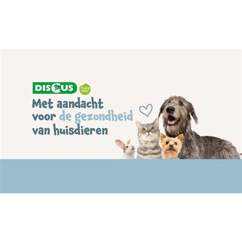 Discus Met Aandacht Voor De Gezondheid Van Huisdieren