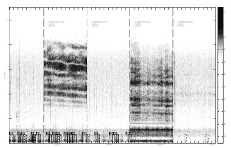Spectrogram 0 10 Khz Of Vessel And Fish Noises In Successive