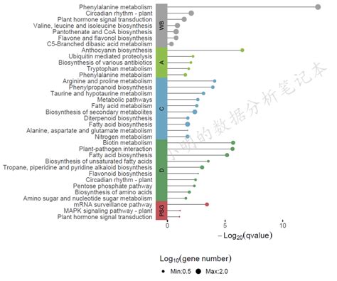 R语言ggplot2画棒棒糖图展示kegg富集分析结果 腾讯云开发者社区 腾讯云
