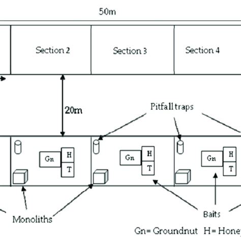 Schema Of Transect With Different Sampling Methods Download Scientific Diagram