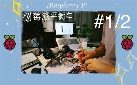 树莓派Python平衡车1平衡小车树莓派应用开发树莓派基础Python基础 哔哩哔哩 bilibili