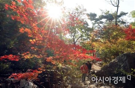 포토 붉게 물들어가는 북한산 단풍 아시아경제