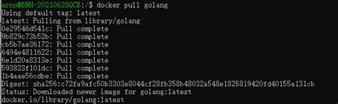 Docker安装golangdocker 安装golang Csdn博客