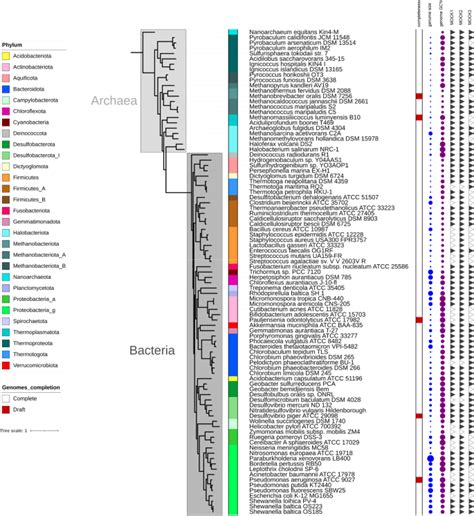 微生物宏基因组学第二代和第三代测序平台的基准测试 Scientific Data X Mol