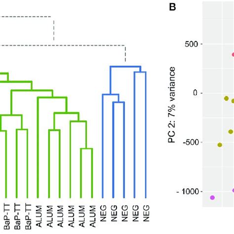 Sample Grouping For 80 Complementary Determining Region 3 Similarity Download Scientific