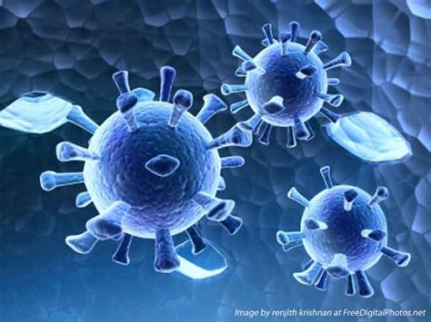 Mac Virus Is Yours Infected CupertinoTimes