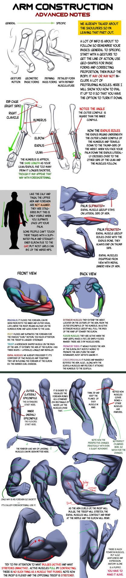 Arm Construction Notes By NemoNova How To Art