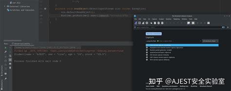 Web 漏洞 Java 反序列化漏洞 知乎
