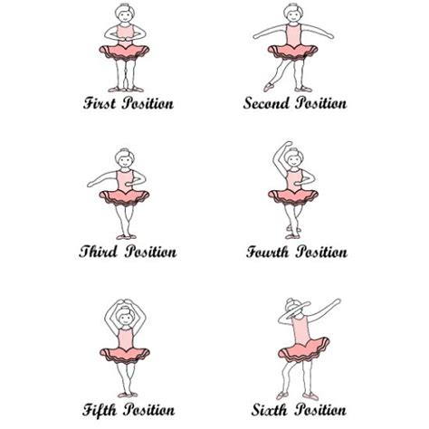Ballet Positions 1 5