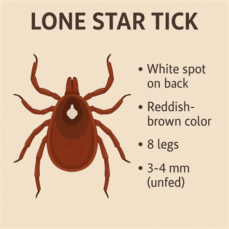 Do All Lone Star Ticks Make You Allergic To Meat