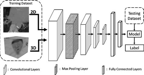 Deep Learning For Cardiac Disease Prediction • Quantitative Bioimaging Laboratory