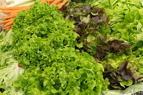 프랑스 제네빌리어스 01 21 2022 프라이머 과일과 채소 그린그로서 혼합 샐러드의 세부 사항 0명에 대한 스톡 사진 및 기타 이미지 Istock