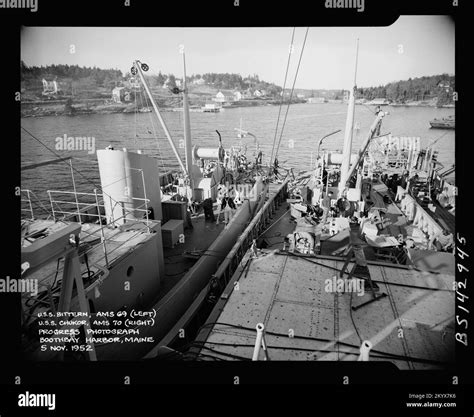 Ams 69 Bittern Ships Naval Vessels Boats Naval History Navy Stock