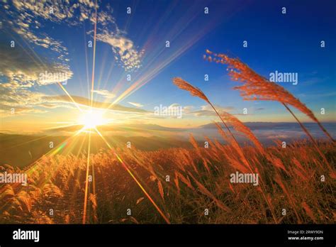 Distant View Of Mt Fuji Mt Fuji Mt Yagatake Mountain Range And