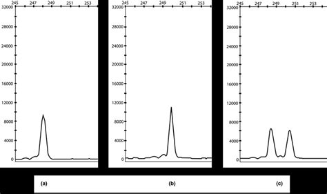 Fragment Analysis Result Of LEPR Fragment Amplified Covering LEPR P Download Scientific