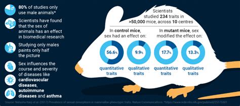 Study Reveals How Sex Blindspot Could Misdirect Medical Research