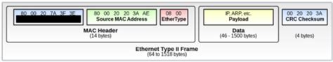 1 1 Osi Model Layers And Encapsulation Concepts Flashcards Quizlet