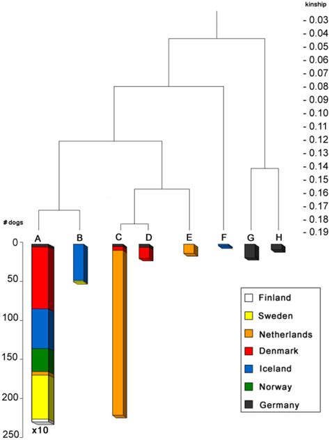 Dendrogram Based On All Generations Showing Country Of Birth Download Scientific Diagram