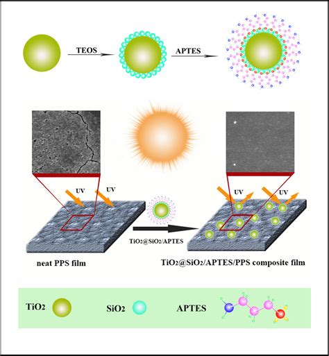 聚苯硫醚分离膜用树脂和聚苯硫醚分离膜 天津津纶新材料科技有限公司 天津津纶新材料科技有限公司