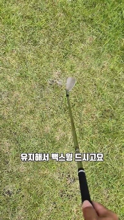 짧은거리 스핀 먹이는 법 어프로치레슨 숏게임레슨 골프스윙 Youtube